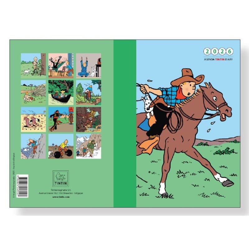 Limited Edition Tintin Figurines & Much More - The Tintin Shop UK